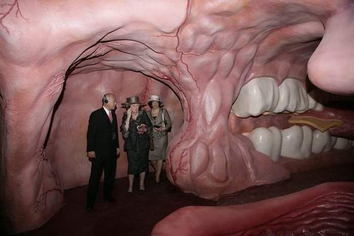 Corpus Museum in Netherland – A Voyage Through The Human Body | Amusing ...